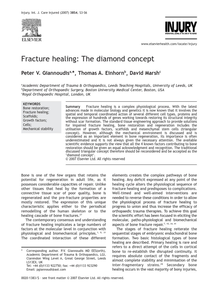 Fracture Healing - The Diamond Concept | PDF