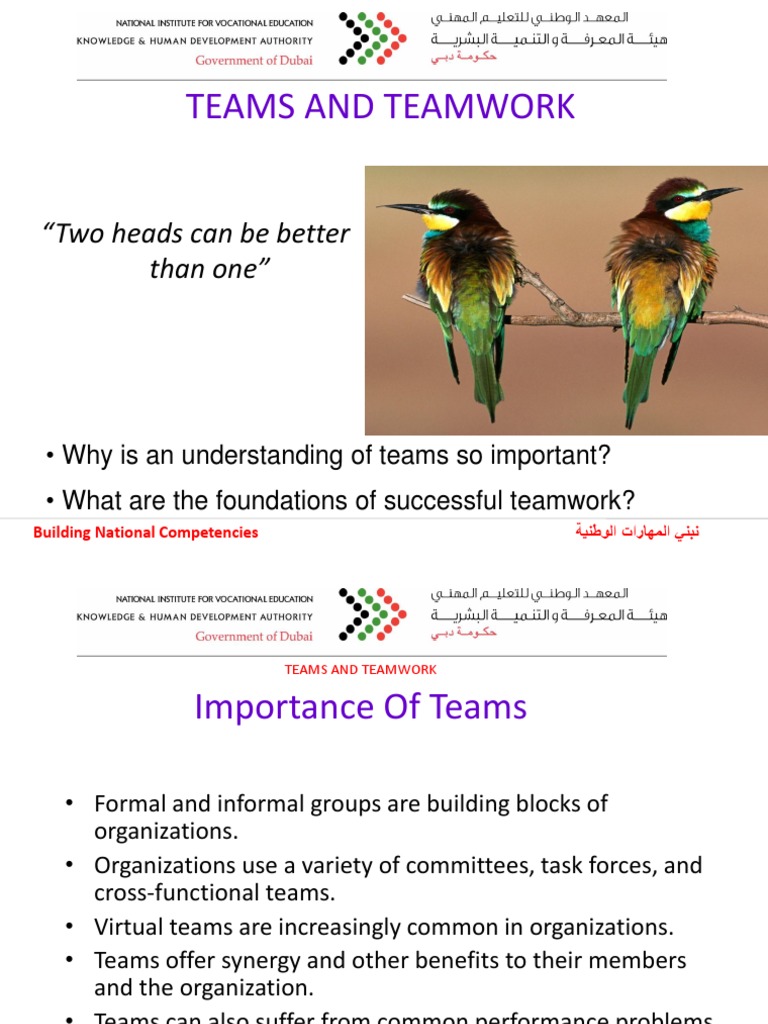 Teams and Teamwork: "Two Heads Can Be Better Than One" | Download Free ...
