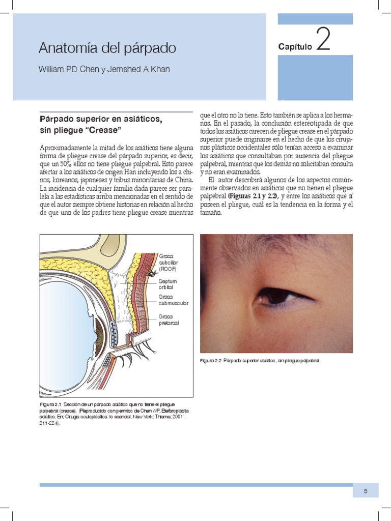 Parpado Asiatico PDF | PDF | Especialidades Medicas | Bienestar