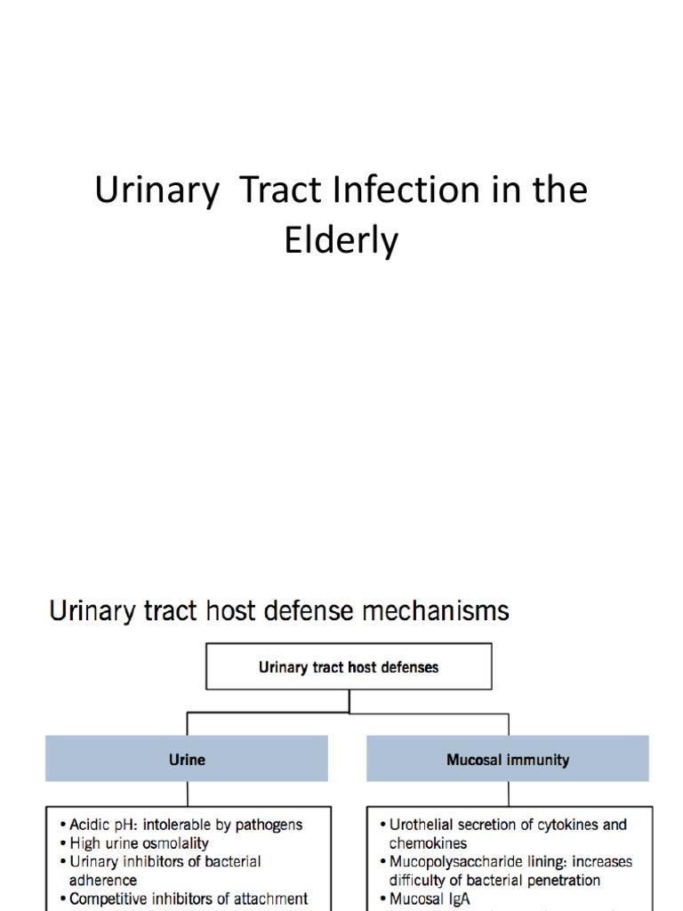 Urinary Tract Infection in The Elderly | PDF | Urinary Tract Infection ...