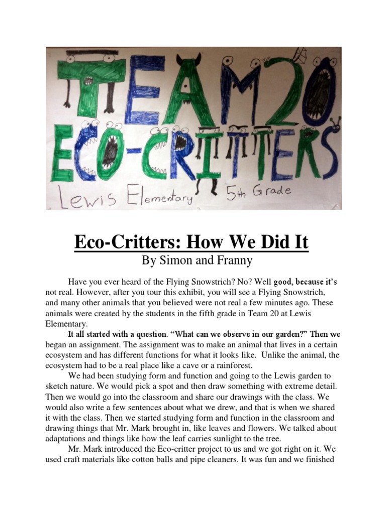 Eco Critter Essays | PDF | Lava | Magma