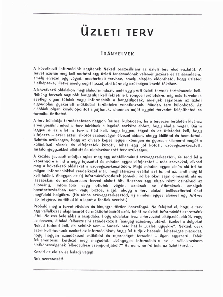 Üzleti Terv | PDF