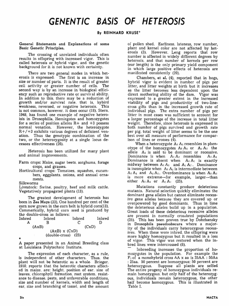 Genetic Basis of Heterosis | PDF | Dominance (Genetics) | Zygosity