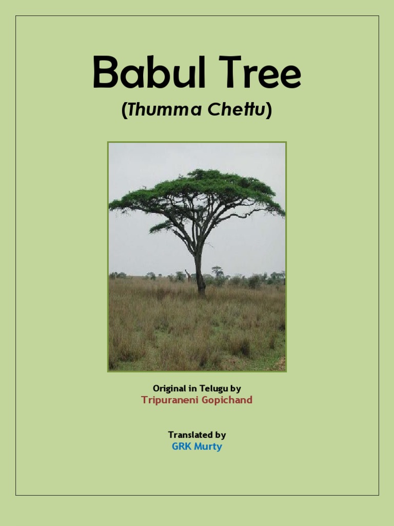 Babul Tree | PDF