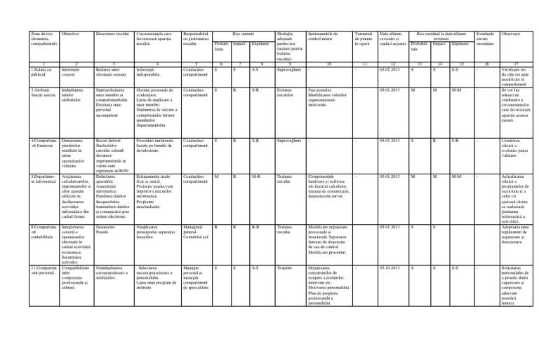Model Registru Riscuri (1)