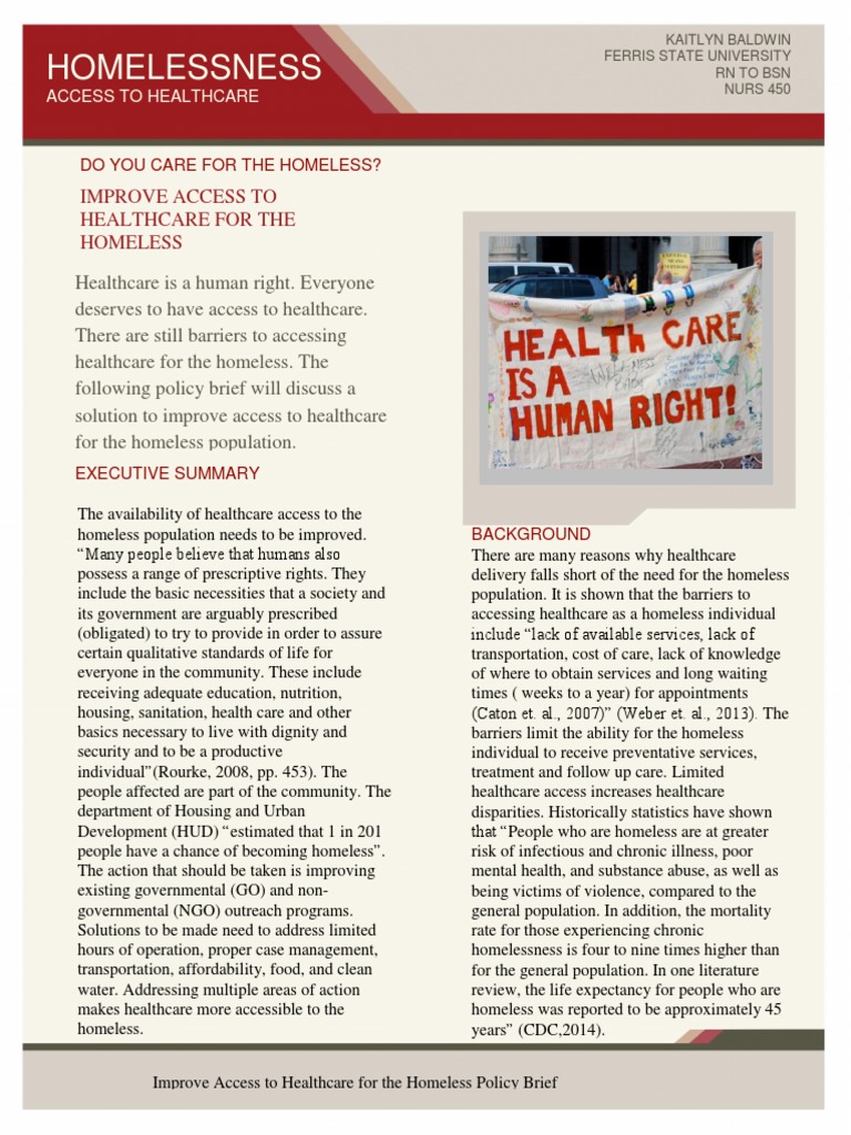 Policy Brief Homeless and Healthcare | PDF | Homelessness | Health Equity