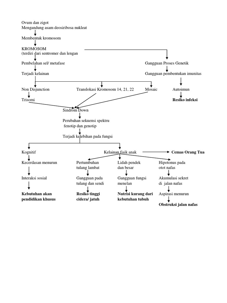 Pathway Sindrom Down | PDF