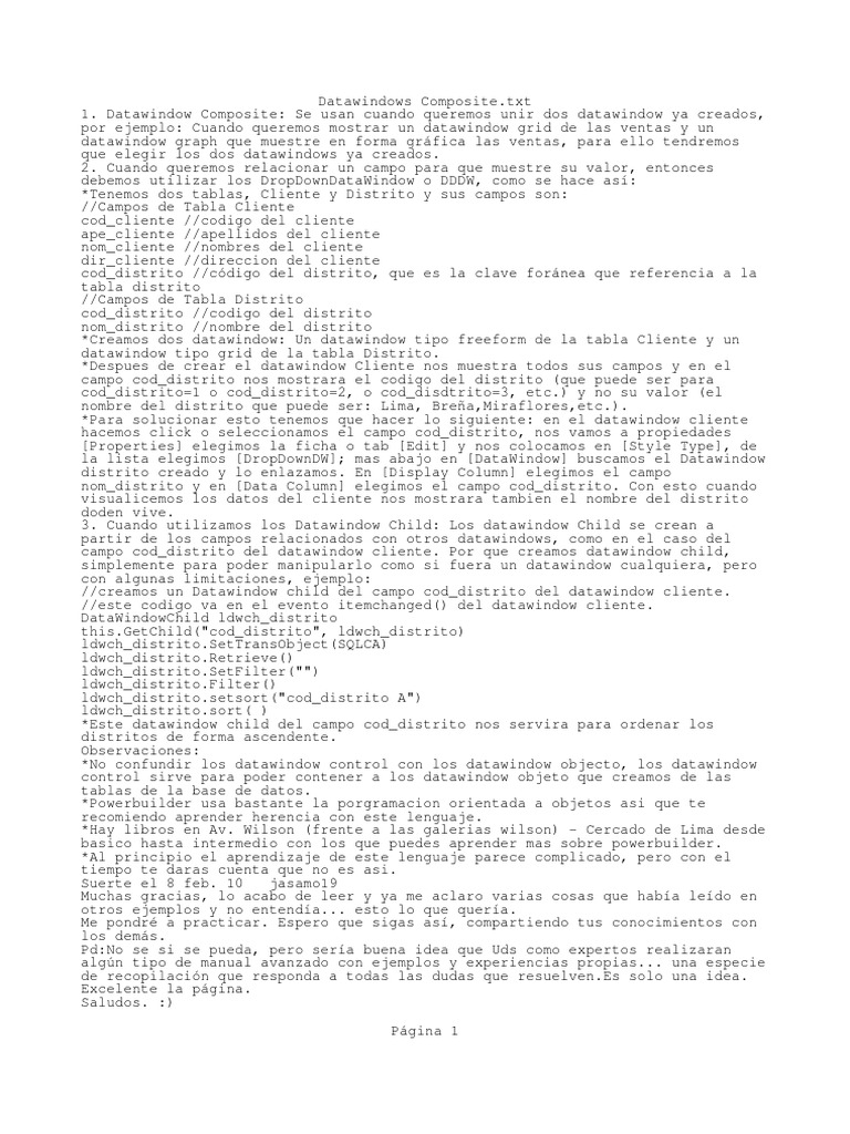 Datawindows Composite | PDF | Tabla (base de datos) | Áreas de informática