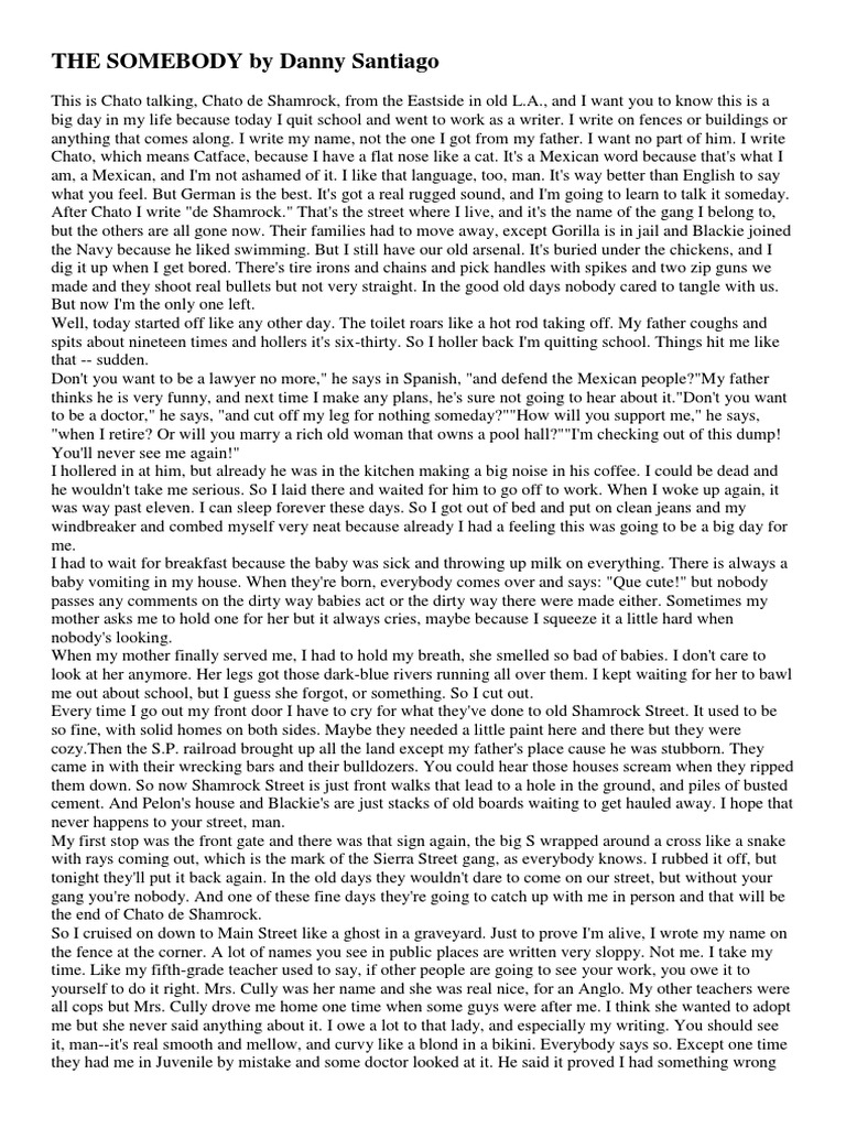 The Somebody | PDF | Leisure