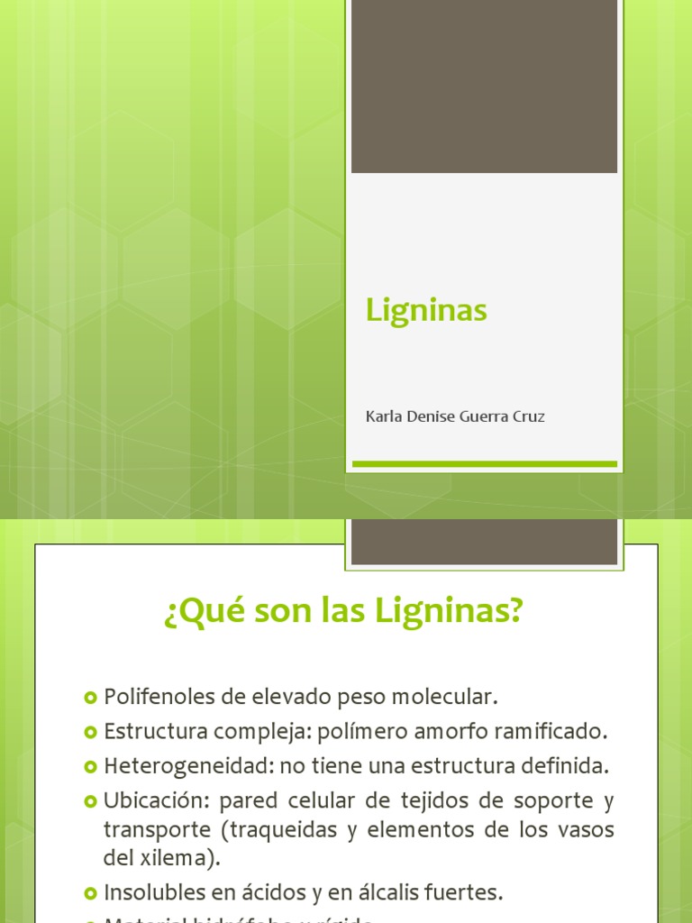 Ligninas | Lignina | Compuestos orgánicos