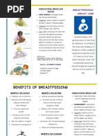 BUBBLE-HE Assessment | PDF | Breastfeeding | Postpartum Period