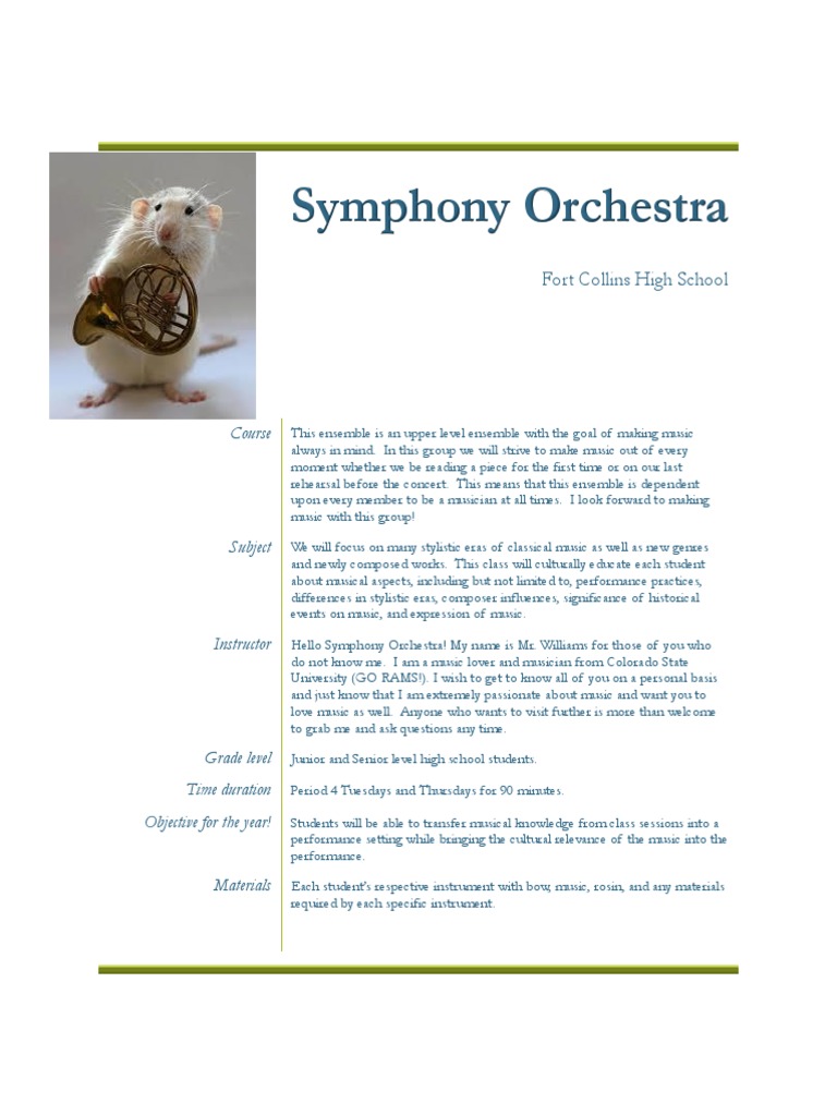 Symphony Orchestra Management Plan | PDF | Orchestras | Cognition