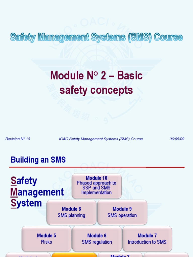 Icao Sms M 02 - Basic Safety | PDF | Organizational Culture | Risk