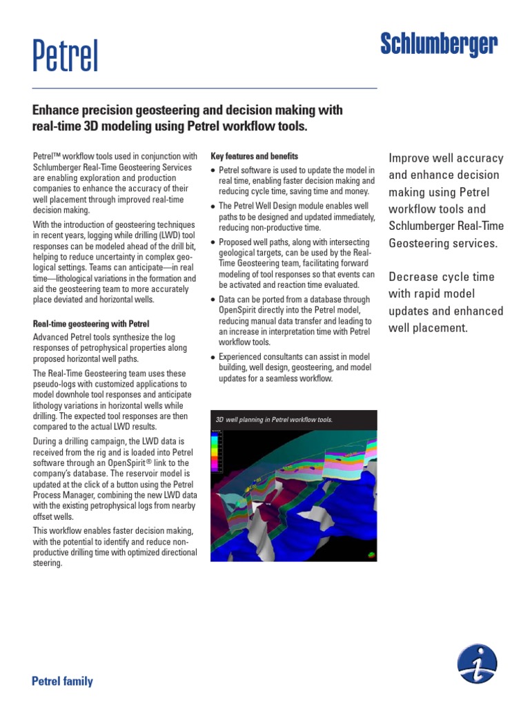 Petrel Realtime Geosteering | PDF | Real Time Computing | Workflow