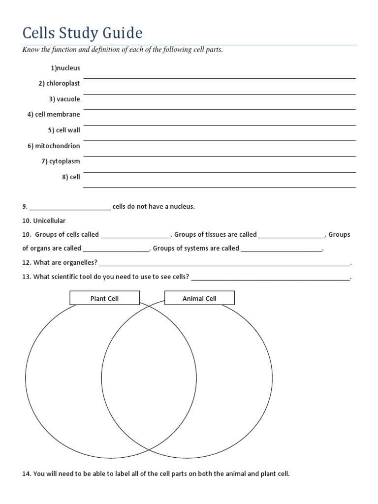 Cell Study Guide | PDF