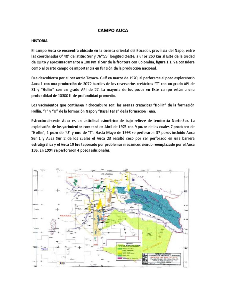 Campo Auca | PDF | Cretáceo | Ciencias de la Tierra