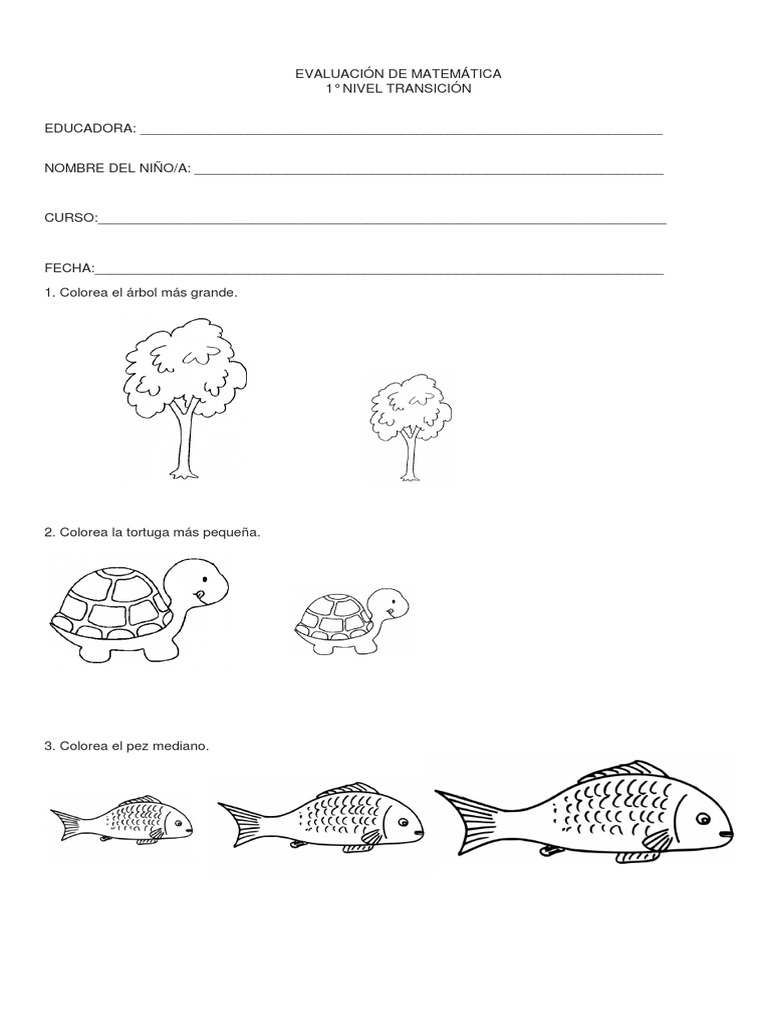 Prueba Pre-Kinder Lista | PDF