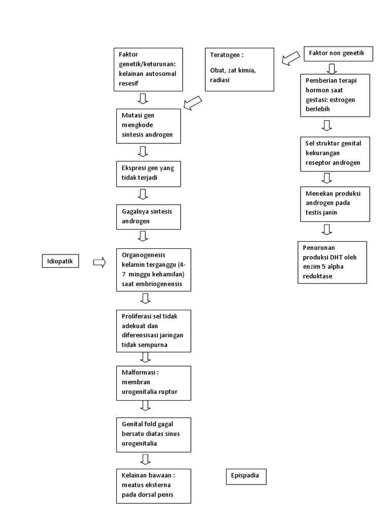 Patofisiologi Epispadia | PDF