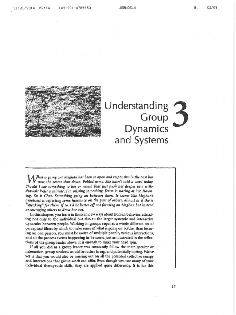 Understanding Group Dynamics Pdf