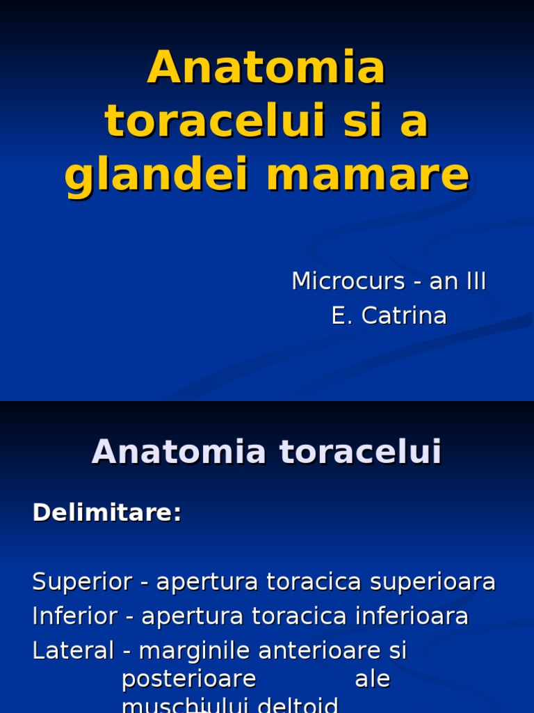 Anatomia Toracelui Si Glanda Mamara | PDF