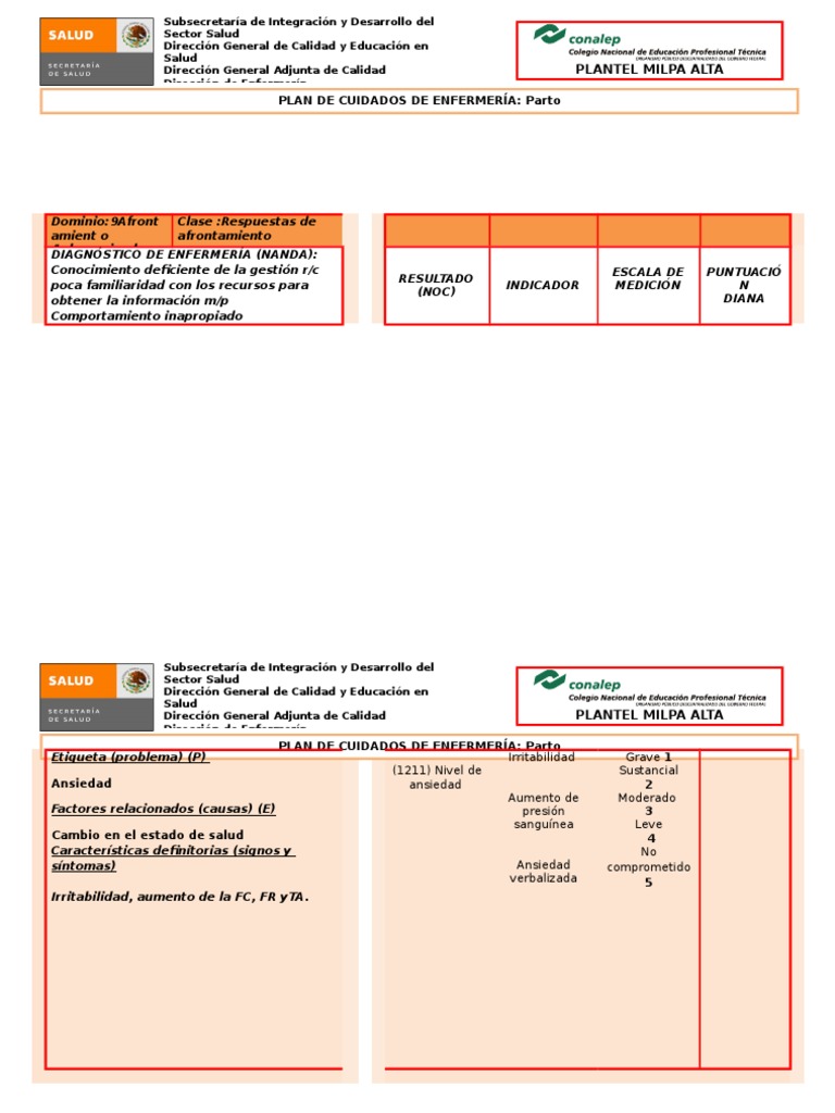 Plan de Cuidados en el Parto y Ansiedad | PDF