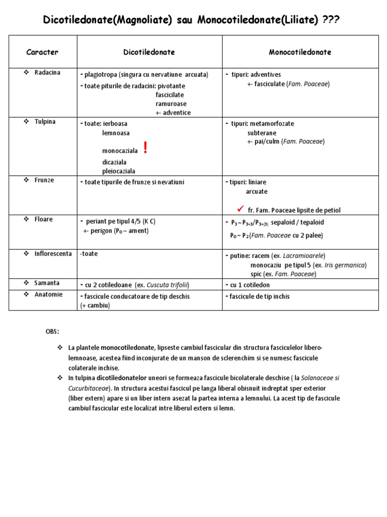 Dicotiledonate vs Monocotiledonate | PDF