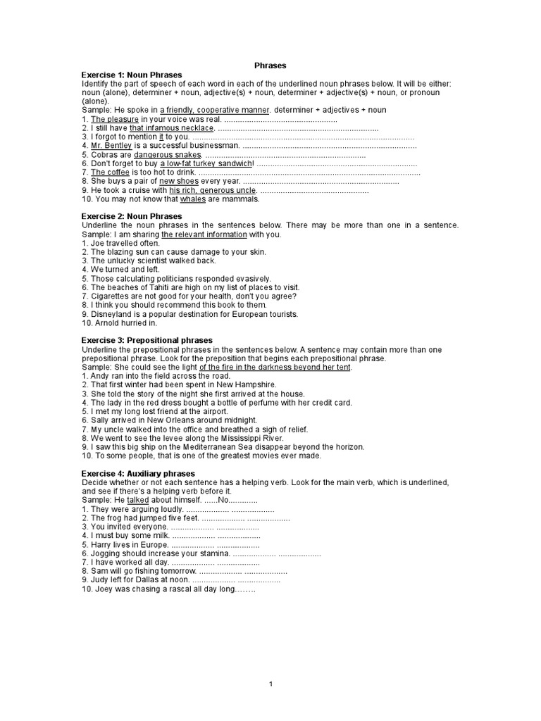 Phrases Exercise 1: Noun Phrases | PDF | Noun | Phrase