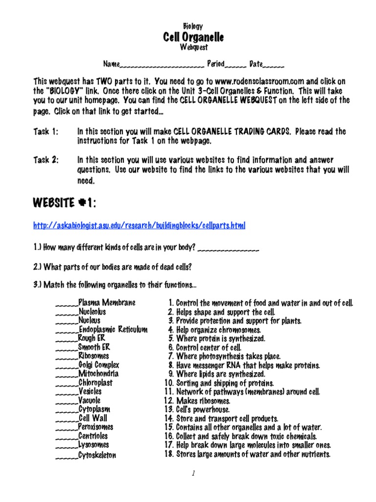 Cell Organelle Webquest Guide | PDF | Endoplasmic Reticulum | Cell ...