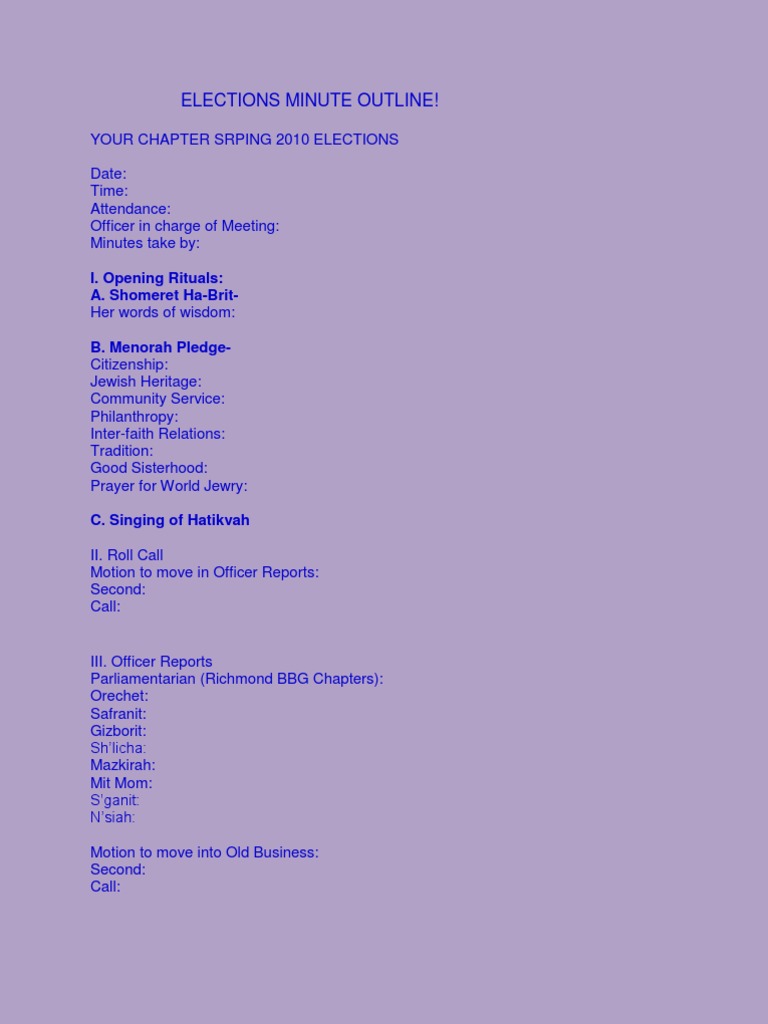 Spring 2010 Elections Meeting Minutes | PDF | Politics