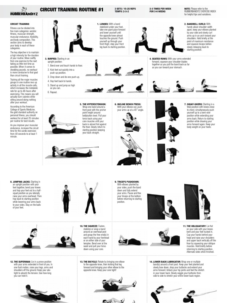 Circuit Training 1 | PDF | Aerobic Exercise | Arm