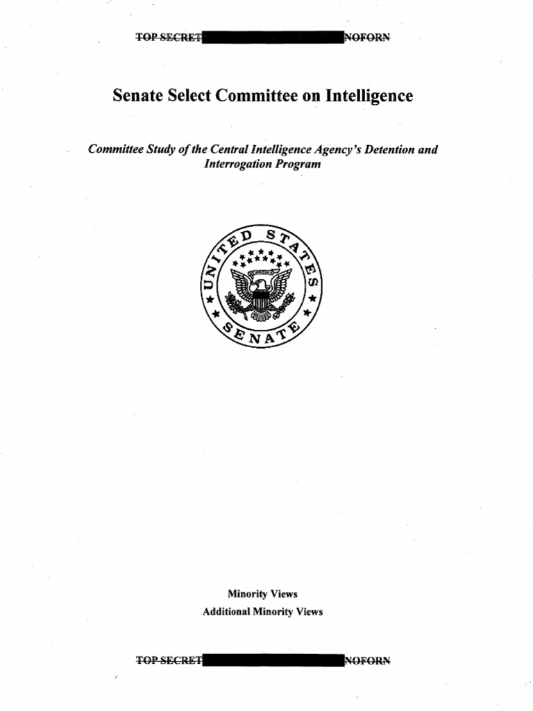 Senate Intelligence Committee Minority Report | Enhanced Interrogation ...