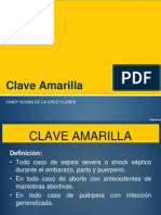 Protocolo Clave Azul en Obstetricia | PDF | Medicina CLINICA | Laboratorios