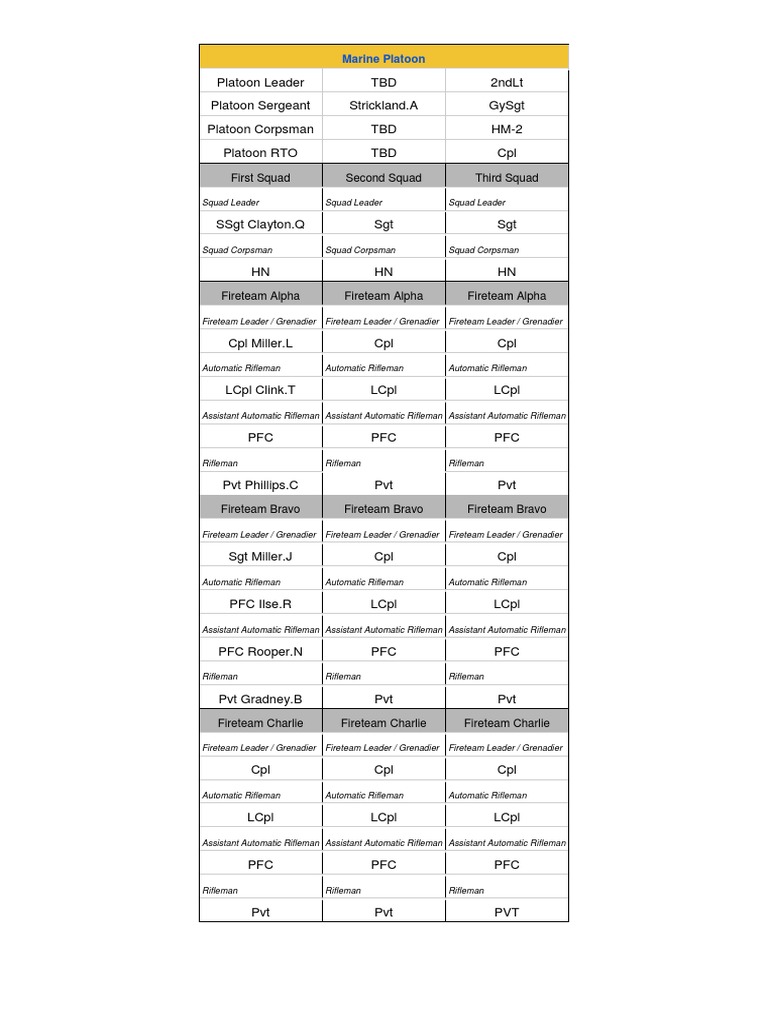 Marine Platoon Structure Overview | PDF
