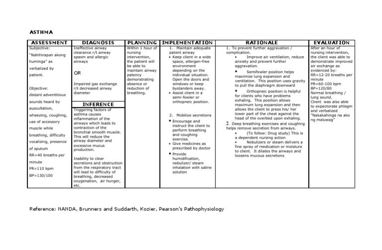 Asthma Assessment | PDF | Respiratory Tract | Breathing