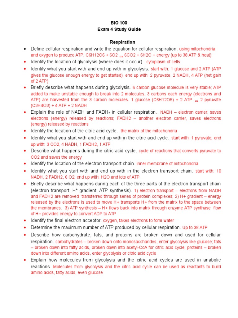 Analyzing Cellular Respiration and Photosynthesis: A Comprehensive ...