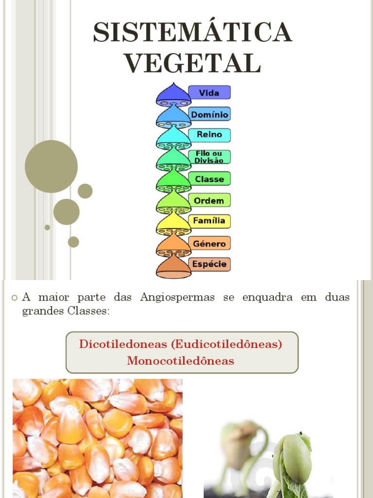 Botanica e Sistematica Vegetal Aula 1111 Nomenclatura Botanica | PDF | Arecaceae | Botânica