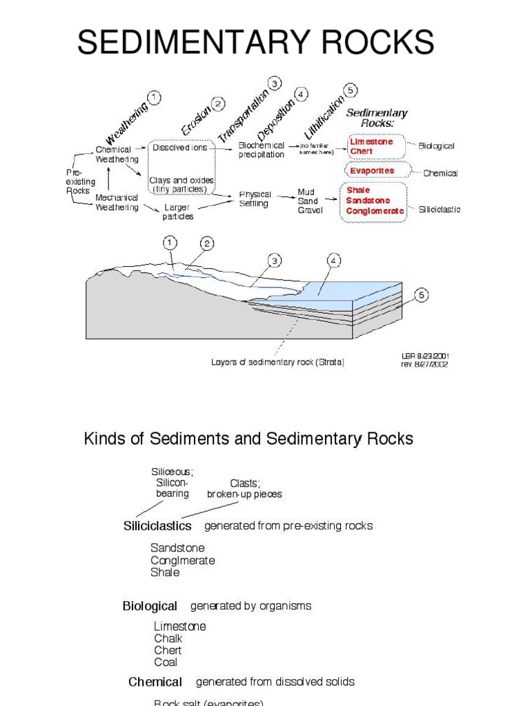 Sedimentary Rocks | PDF | Sedimentary Rock | Rock (Geology)