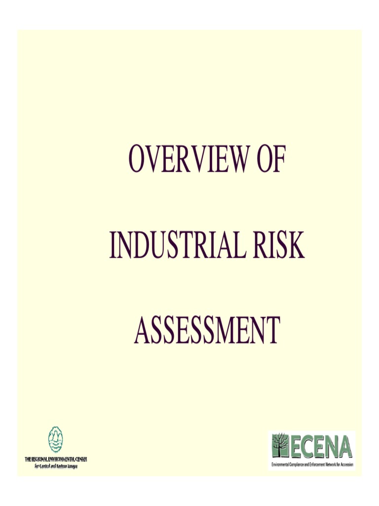 Industrial Risk Management - Overview | PDF