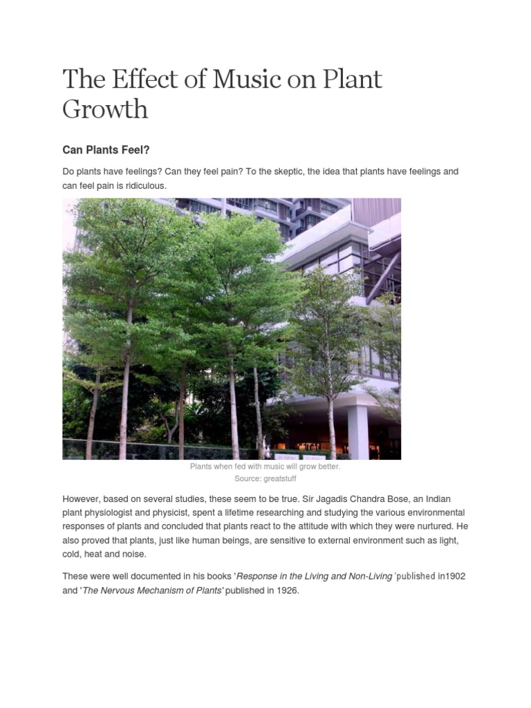 Music's Impact on Plant Growth | PDF | Vineyard | Sound