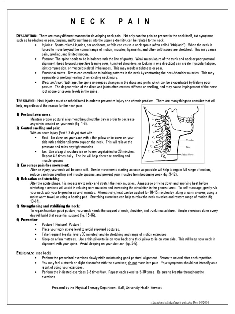 Neck Pain | PDF | Muscle | Shoulder