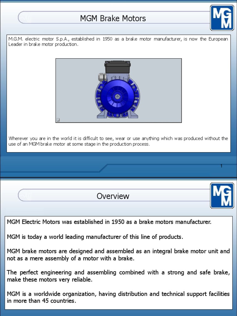 MGM Presentation | PDF | Power Inverter | Electric Motor