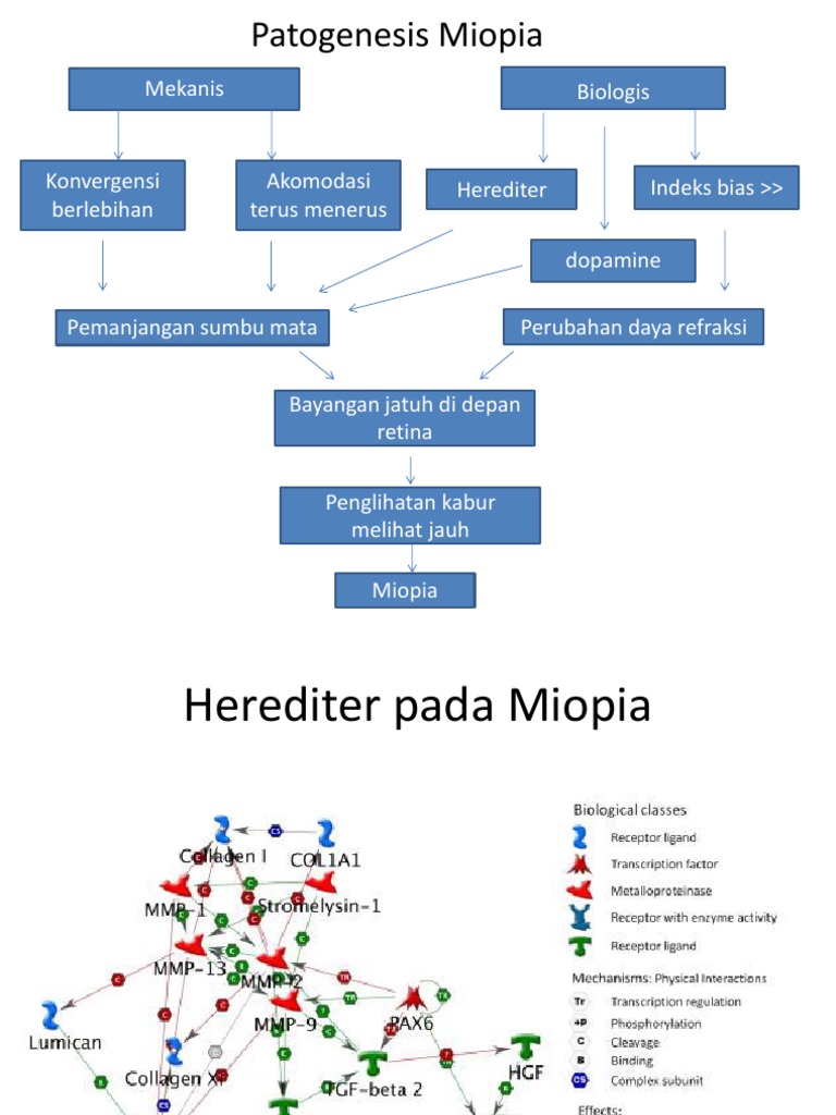 Patogenesis Miopia | PDF