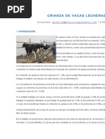 Sistema de Producción de Leche en Granjas Bovinas Familiares | PDF | Vacas | Leche