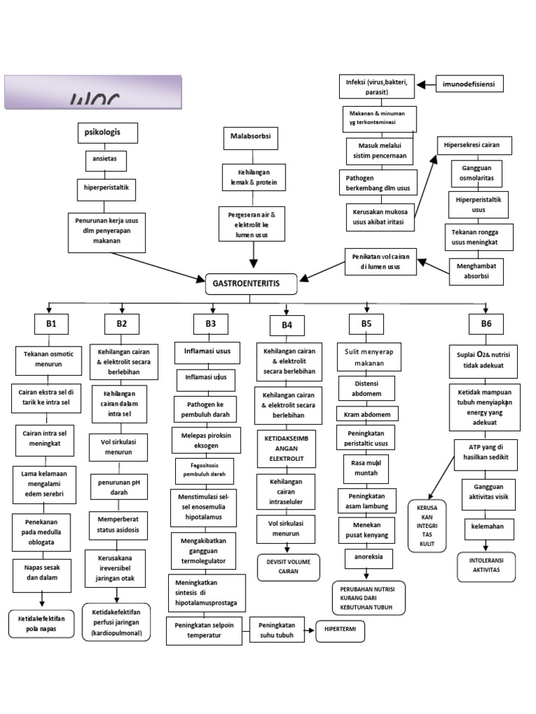 Pathway Diare pada Anak dan Dewasa | PDF | Kesehatan Holistik