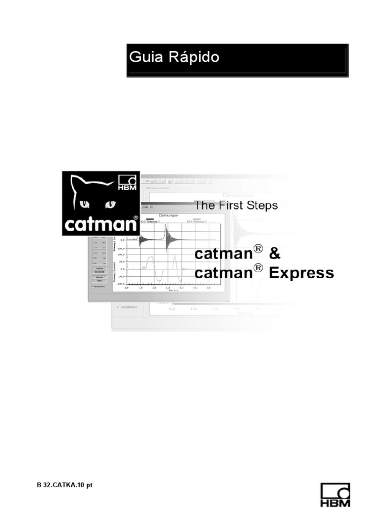 Manual CatMan Primeros Pasos | PDF | Janela (informática) | Medição