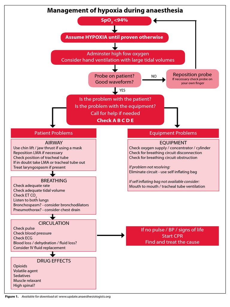 Management of Hypoxia in Anesthesia | PDF | Hypoxia (Medical) | Breathing