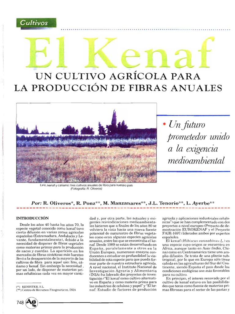 El Kenaf | PDF