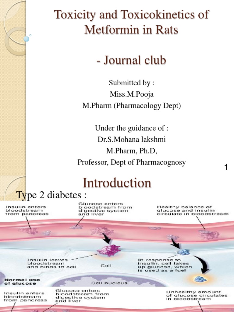 Toxicity and Toxicokinetics of Metformin in Rats | PDF | Creatinine | Urine