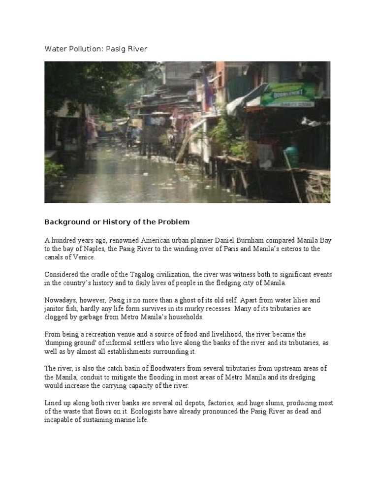 Pasig River Pollution and Rehabilitation | PDF | Human Impact On The ...