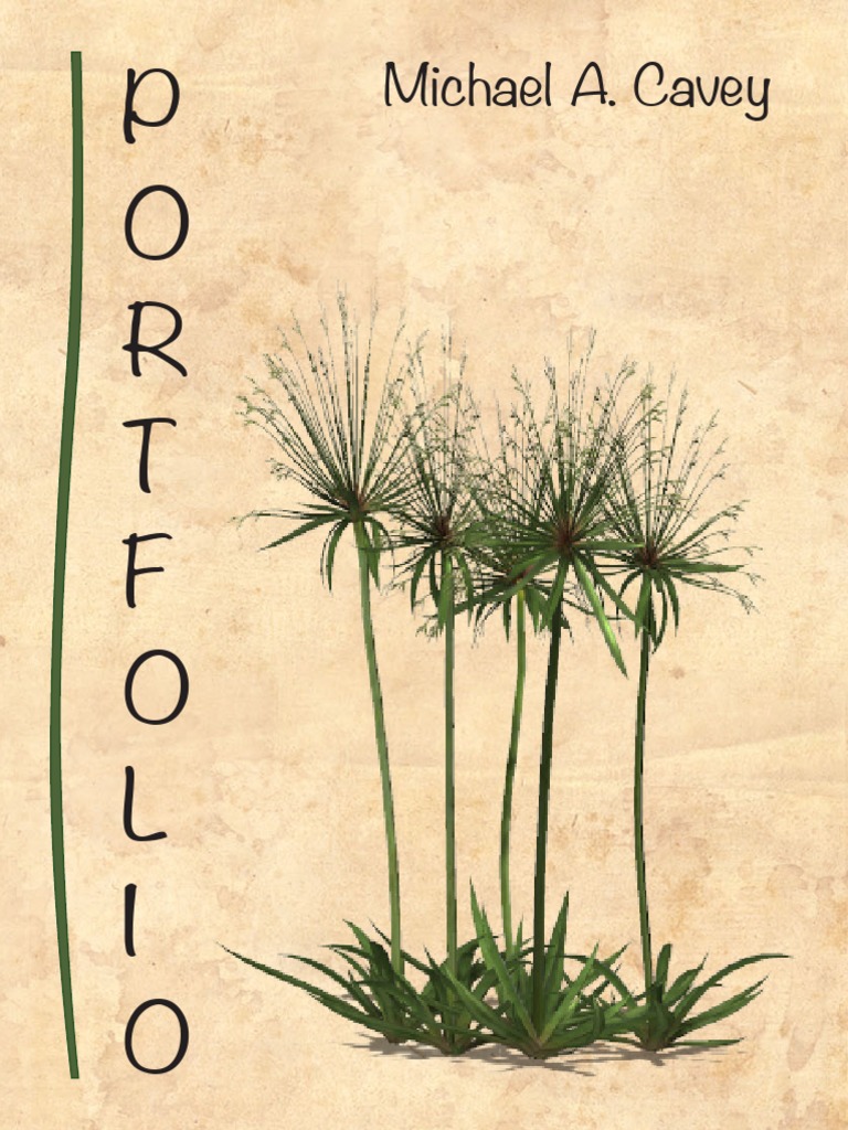 P O R T F O L I O: Michael A. Cavey | PDF | Adobe Photoshop | Adobe ...